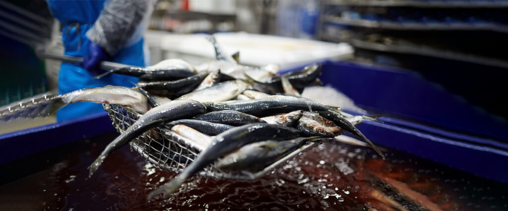 Fishing Floor | Durable & Non-slip| ICM Projects